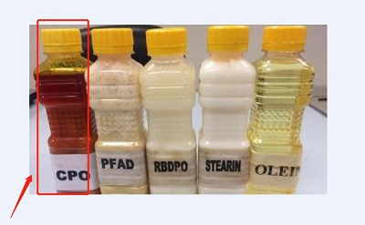 Crude palm oil (CPO) level measurement successful application case
